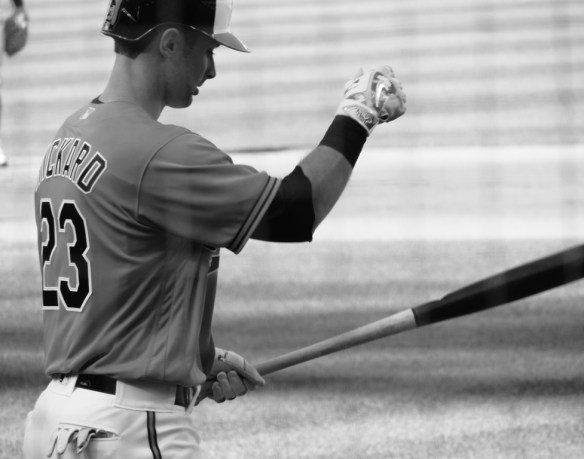 The Cleanup Hitter | The Baseball Bloggess